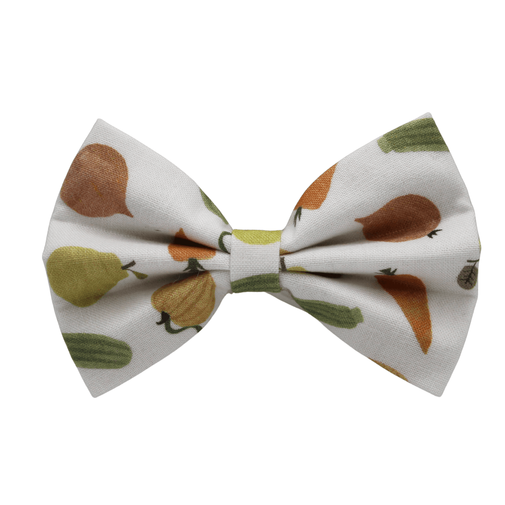 "Squash" bow tie | Le Pet Shoppe